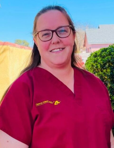 Veterinary Clinic In Tucson, AZ | Cimarron Animal Hospital