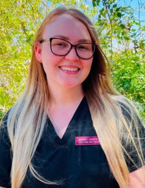 Veterinary Clinic In Tucson, AZ | Cimarron Animal Hospital