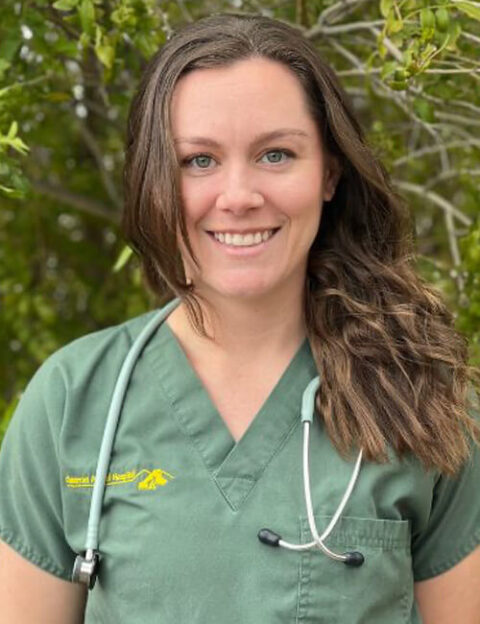 Veterinary Clinic In Tucson, AZ | Cimarron Animal Hospital